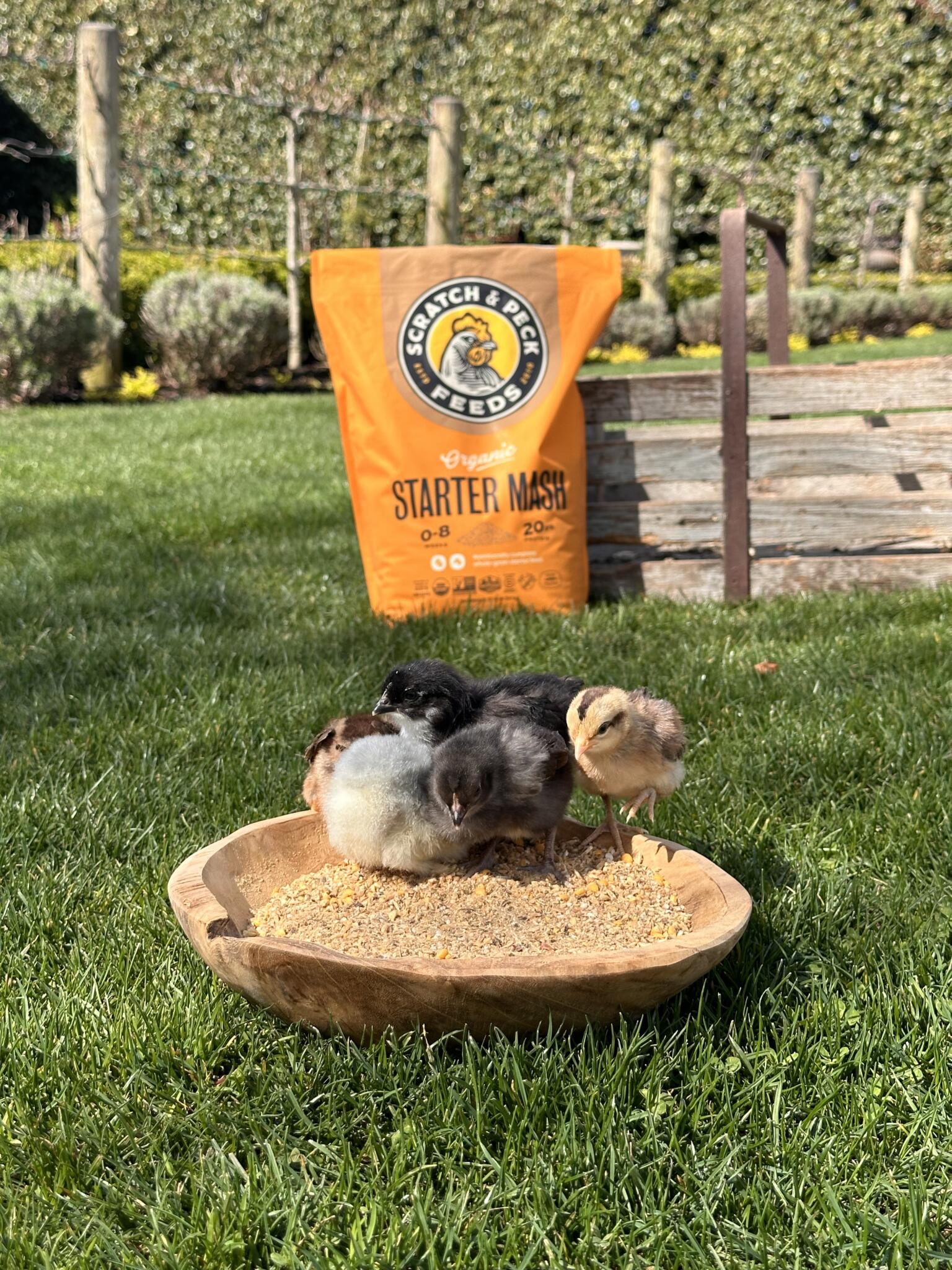 Case Study: Scratch & Peck Feeds | Gravitate
